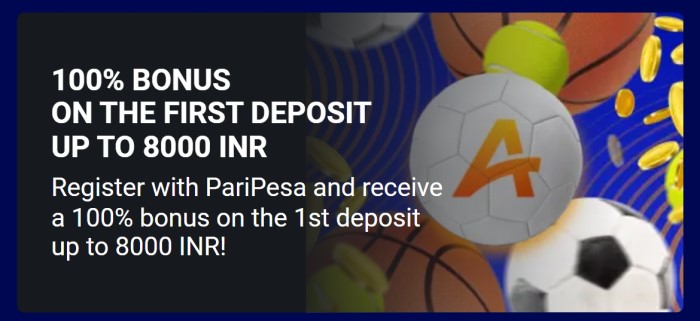 PariPesa Review India 2024 | A Detailed Insight - Dust2.in